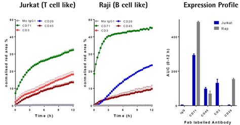 Cancer Drug Discovery Antibody Internalization Assays