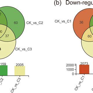 Gene Expression Profiles Of Differentially Expressed Genes From Four