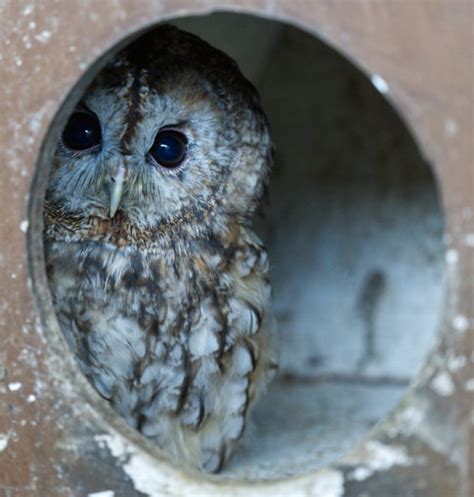 Contact Us Tinkers Hill