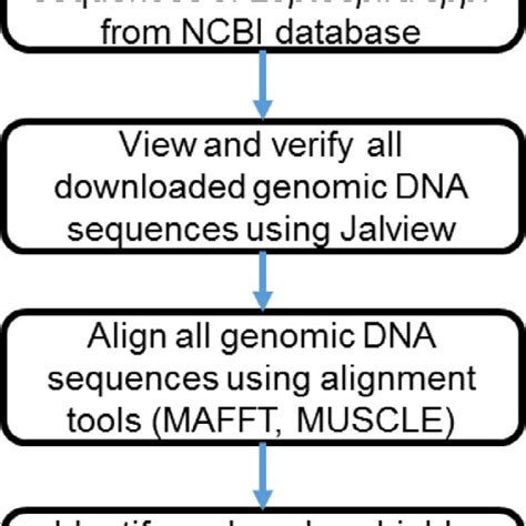 process flow in identification of the omp conserved sequences