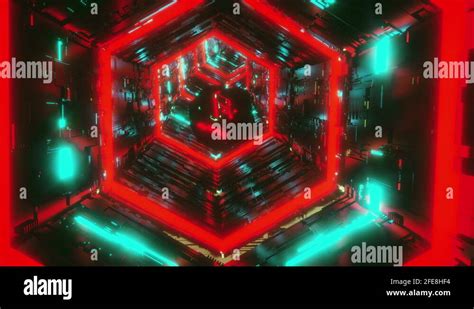 Video Rendering Programmer Stock Videos Footage HD And 4K Video