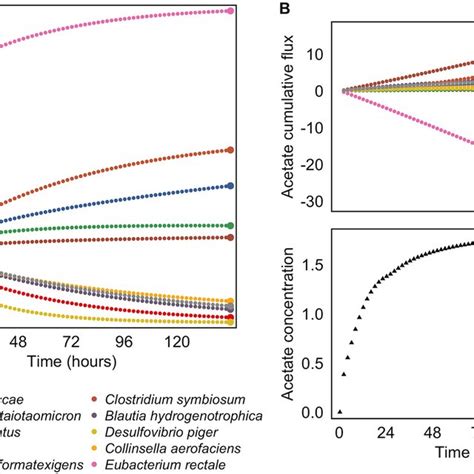 simulating multi omic data with a dynamic multispecies genome scale