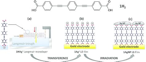 Top Image 4 4 0 1 4 Phenylenebis Ethyne 2 1 Diyl Dibenzoic Acid 1h Download Scientific