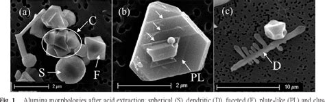 Figure 1 From Effect Of Impurity Te On The Morphology Of Alumina Particles In Molten Iron