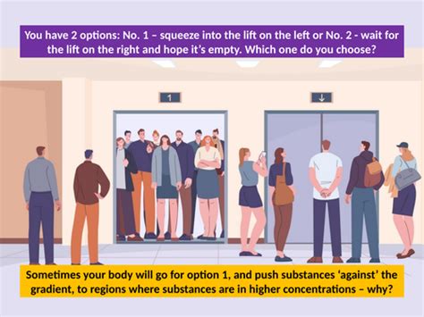 Active Transport For Section 2d Edexcel Igcse Biology Movement Of Substances In And Out Of