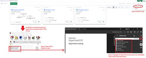 Signals Notebook In Embedded Document Attachment The Attachments Are