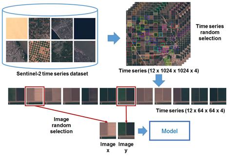 Learning Disentangled Representations Of Satellite Image Time Series