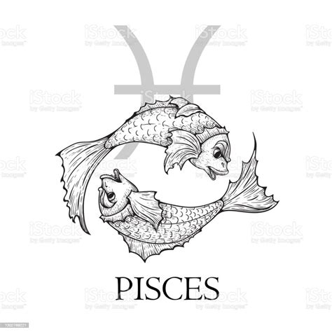 손으로 그린 물고기자리 빈티지 그라브루 또는 스케치 스타일의 조디악 기호 특정 둥근 모양의 구식 물고기 복고풍 점성술 별자리 신비한 그림은 흰색에 고립 새긴 이미지에 대한