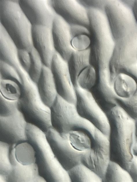 How To Study Insects Under The Microscope Foldscope Instruments Inc