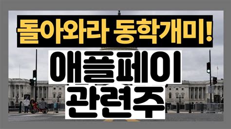 하인크코리아한국정보통신이루온셀피글로벌nice나이스정보통신kg이니시스 L 애플페이 L 차트분석 L 땡큐백승배 L