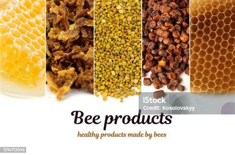 꿀벌 제품의 다양한 꿀 꽃가루 프로 폴리스 꿀벌 빵 왁스 Apitherapy 꿀벌이 만든 건강한 제품 벌에 대한 스톡 사진 및 기타 이미지 Istock