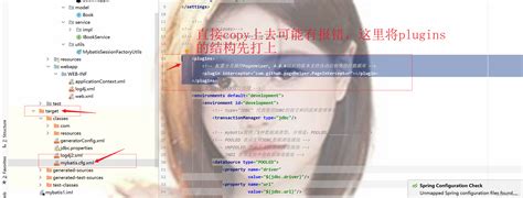 Mybatis （3） 分页的运用