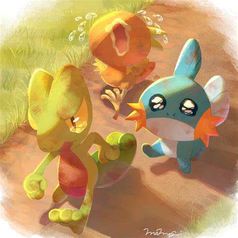 Torchic Mudkip And Treecko Pokemon Drawn By Nijuuni Njn 22 Danbooru