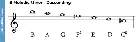 B Music Note The Complete Guide To The Note And Key