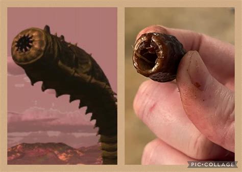 I Was Eating Some Dates Rnomansskythegame