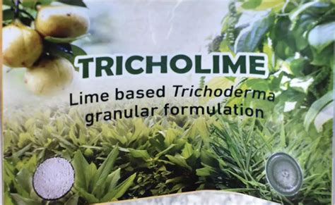 The Indian Institute Of Spices Research Iisr Kozhikode Has