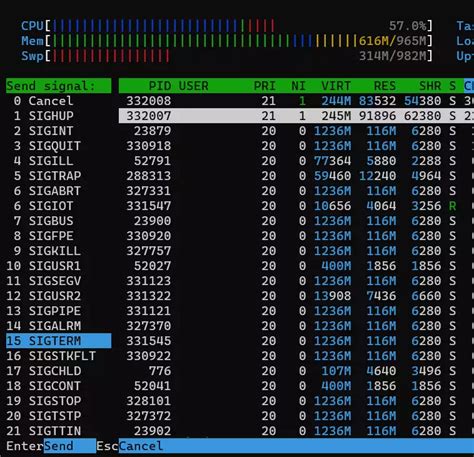 Cara Kill Process Ubuntu Menggunakan Htop Wpgan