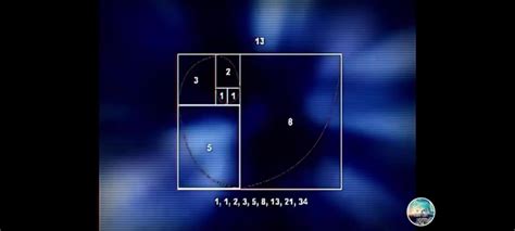 Signature Of The Creator Fibonacci Sequence Golden Ratio