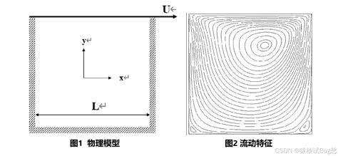 Cfd算例代码：顶盖驱动方腔流（c）顶盖驱动流 Csdn博客