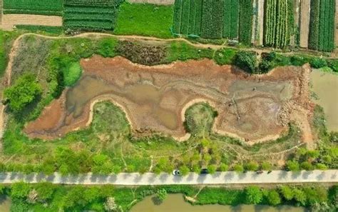 【案例分享】五源河生态塘丨百变生态塘——小微湿地生态修复的养护和演变新浪财经新浪网