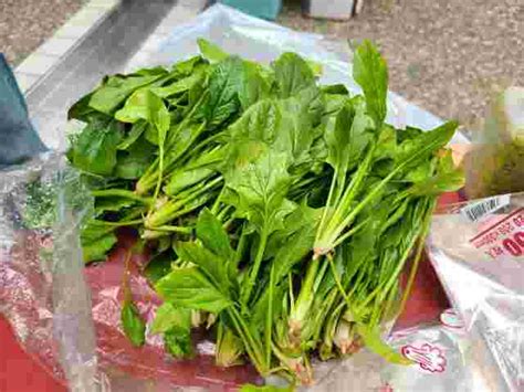 ほうれん草の食べ過ぎは体に害がある?アク抜きや防止方法も解説 お食事ウェブマガジン「グルメノート」 ほうれん草の食べ過ぎは体に害がある?アク抜きや防止方法も解説 お食事ウェブマガジン「グルメノート」