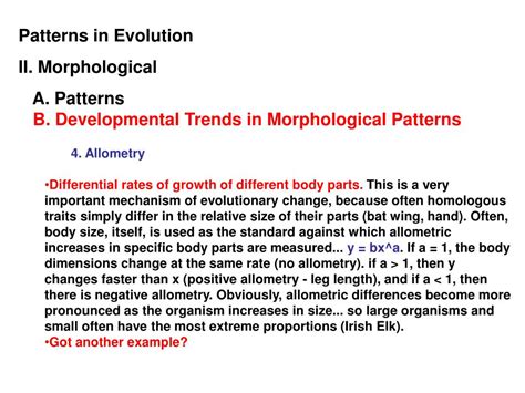 Ppt Patterns In Evolution Ii Morphological A Patterns Powerpoint