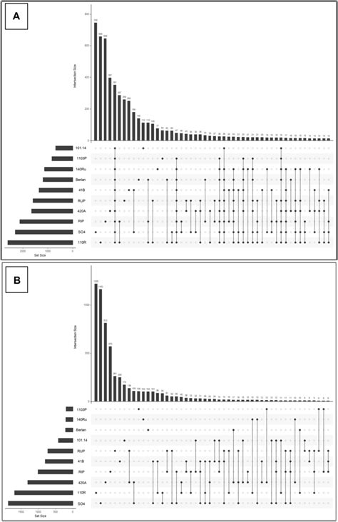 Upsetr Plot Of The Degs Regulated By Rhizophagus Irregularis Among