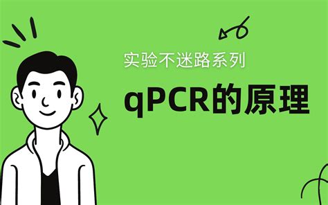 qPCR结果分析 扩增曲线