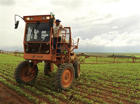 Deforestation Fronts Wwf