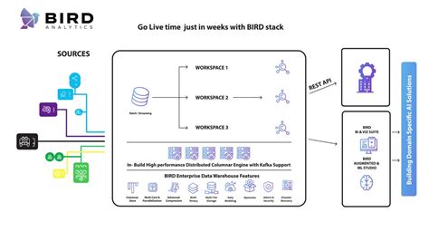 Bird Architecture A Comprehensive And High Performance Data Analytics