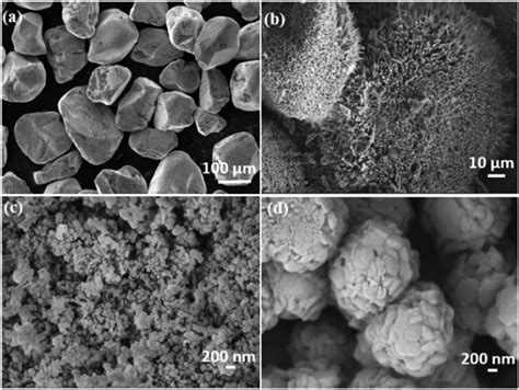 Sem Analysis Of The Different Solids Obtained In Tio2 Synthesis A