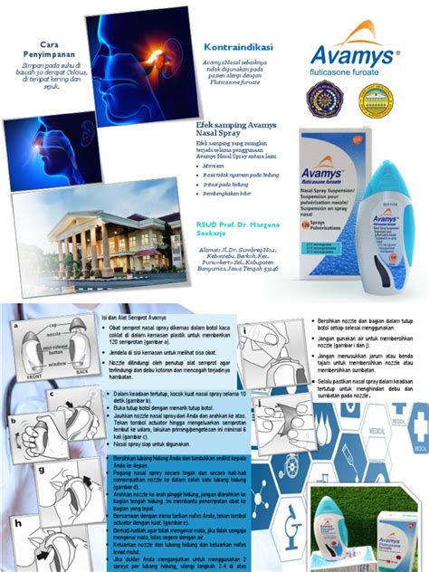 Leaflet Avamys Pdf