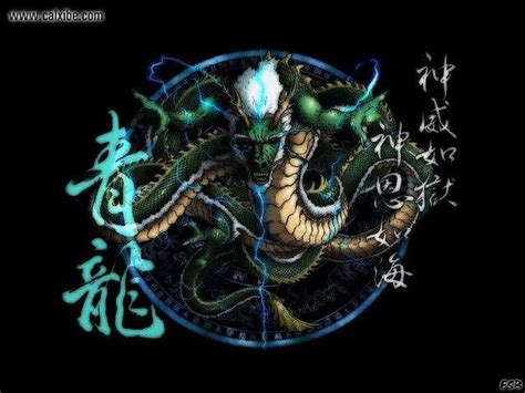 Yin Yang Dragon Tiger Wallpapers Wallpaper Cave