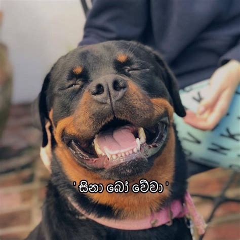 සබ්බ සකල මනා