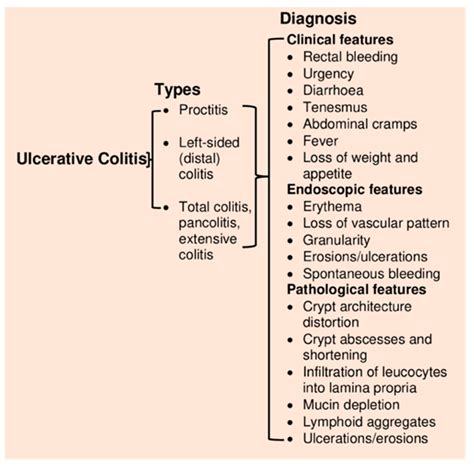 Types Of Ulcerative Colitis And Diagnosis Download Scientific Diagram