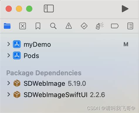 swift 包管理器 spm ：管理 ios 中的依赖关系 ios spm csdn博客