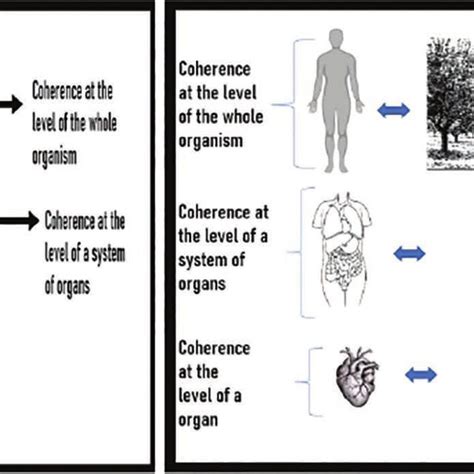 1 Levels Of Coherencesimilarities To Help Select What Needs To Be