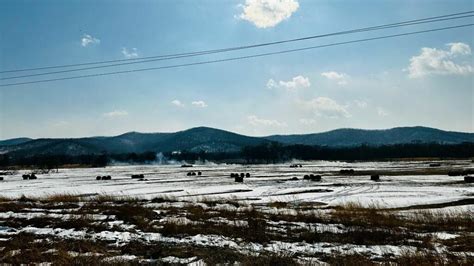Картина дня в Приморье преступник в бегах нападение белухи и дикие люди — Новости Дальнего