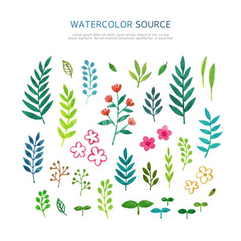 나뭇잎 꽃잎 새싹 수채화 소스 사진 이미지 일러스트 캘리그라피 Dawool작가