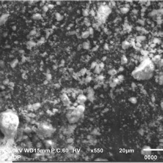SEM Images Of Synthesized TiO NPs Download Scientific Diagram