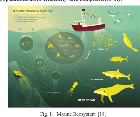 Figure 1 From Machine Learning For Plankton Species Identification And Classification A New Era