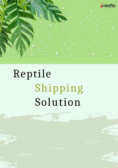 Driving Digital Transformation Mindfire Solutions Agile Development Strategies Ppt