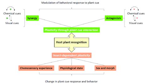 Overview Over The Different Origins Of Plasticity In Host Plant