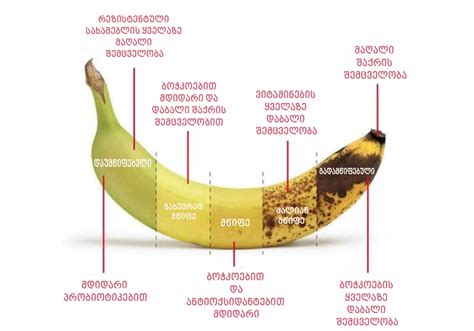 რაზე მიანიშნებს ბანანის სიმწიფის სხვადასხვა ეტაპი და რა გავლენა აქვს მას ჯანმრთელობაზე