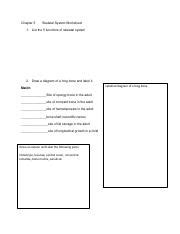 Comprehensive Study Guide On The Skeletal System Functions And Course Hero