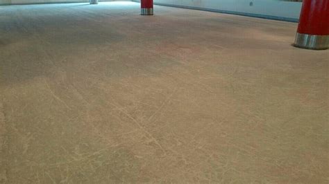 Ice Ring 2025 All You Should Know Before You Go With Reviews