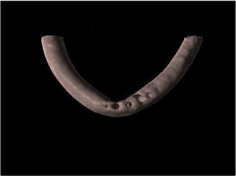 3d γ Photon Imaging Of Inner Cavity Download Scientific Diagram