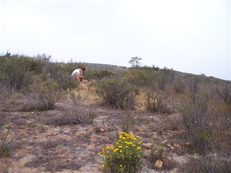 Statistical Modeling Causal Inference And Social Science