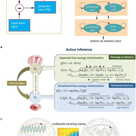 A A Schematic Illustration Of Hierarchical Predictive Coding B Download Scientific Diagram