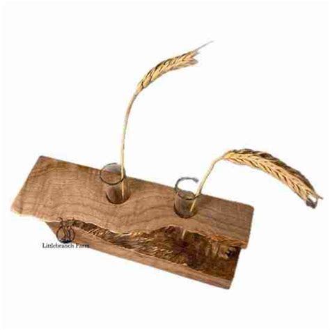 Live Edge Propagation Station Littlebranch Farm